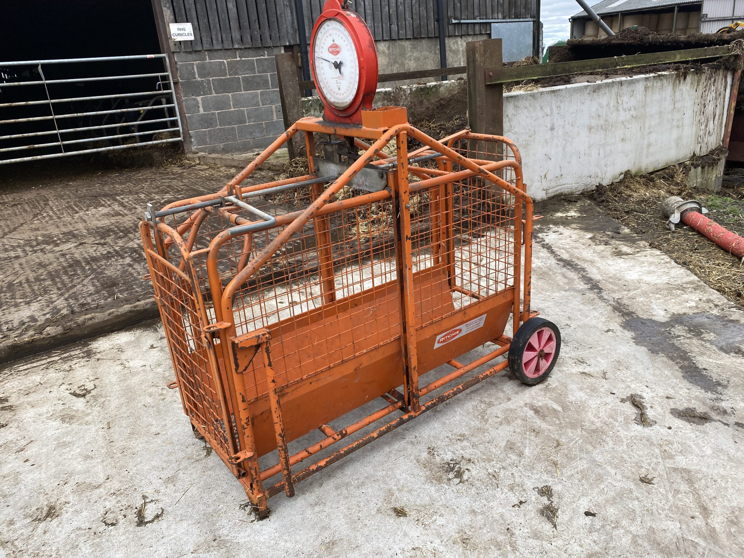 Pig Scales – Market Drayton Livestock Market